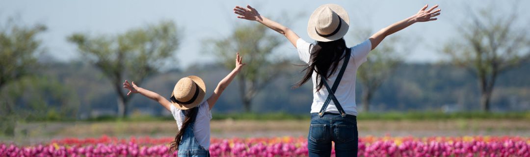 Parent Coordination - Family Wellness Group
